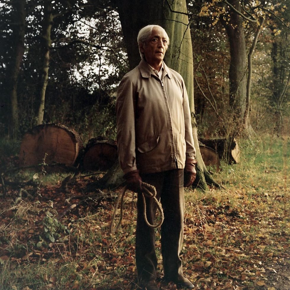 What Is Our Relationship With Nature? • Krishnamurti Foundation